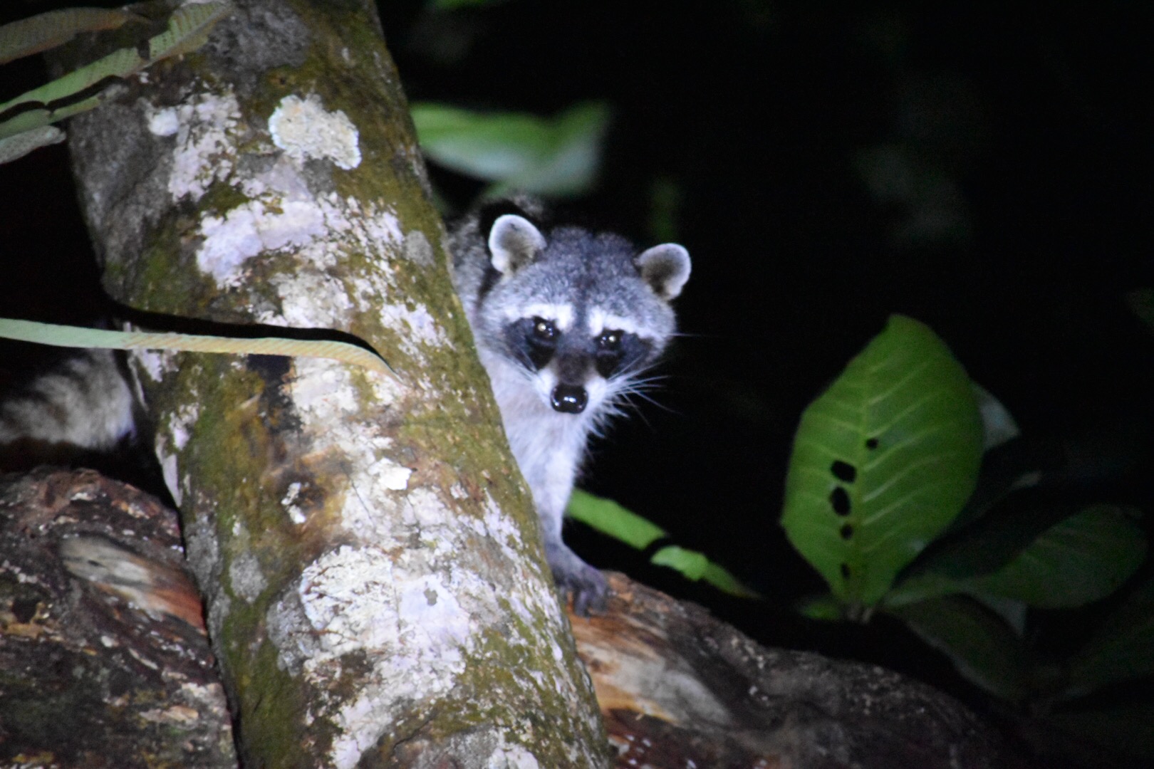 Costa Rica dag 15: Natte voeten – Travelmonkie